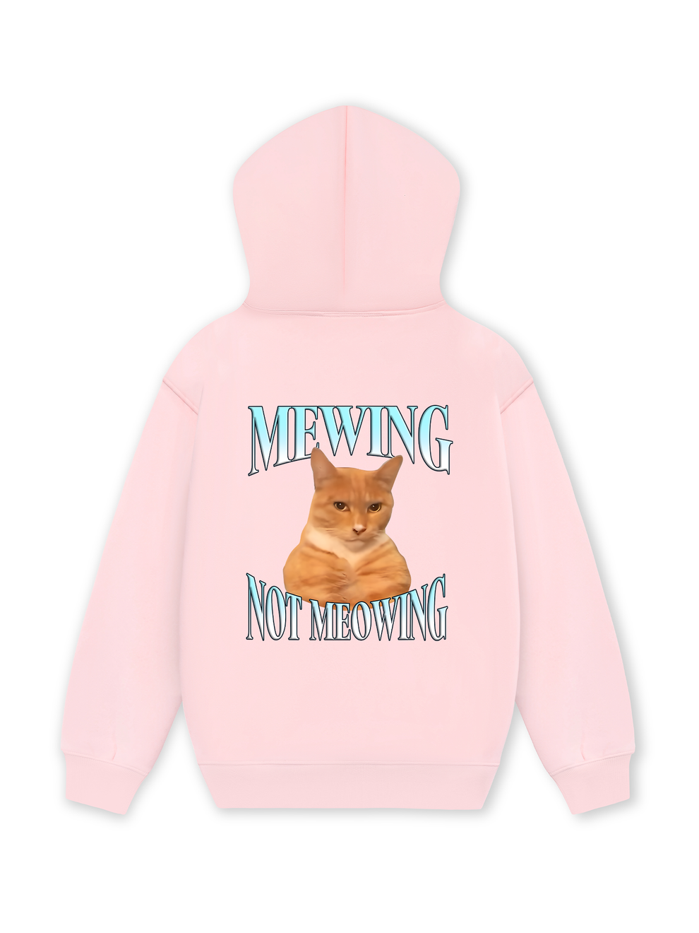 Mewing Not Meowing Hoodie – Luon Vuituoi